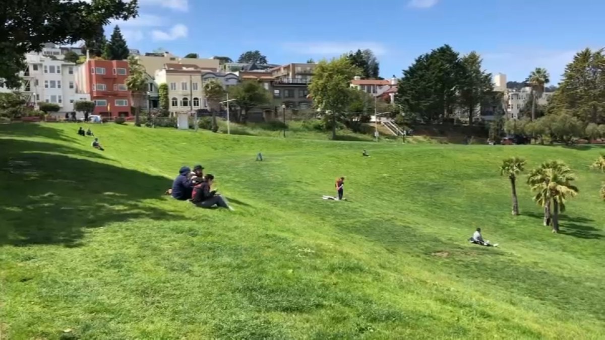 Arrestan a sospechoso de conducir a través del Dolores Park en San ...