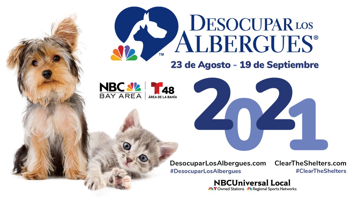 NBC Bay Area y Telemundo 48 se unen en el regreso de la campaña “adopta ...