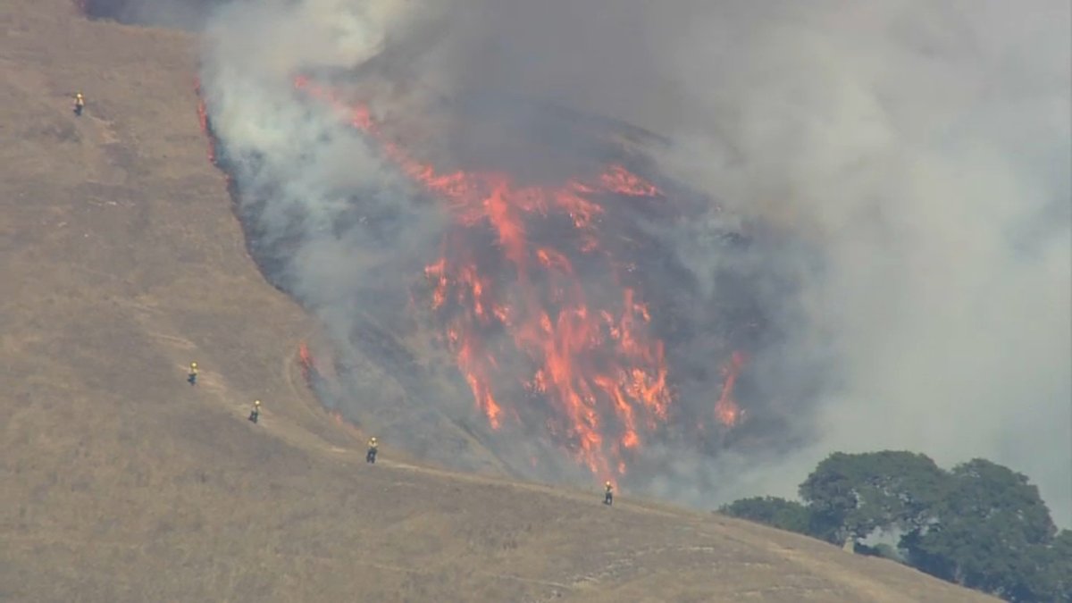 Incendio arrasa con 50 acres de vegetación y amenaza con dañar ...