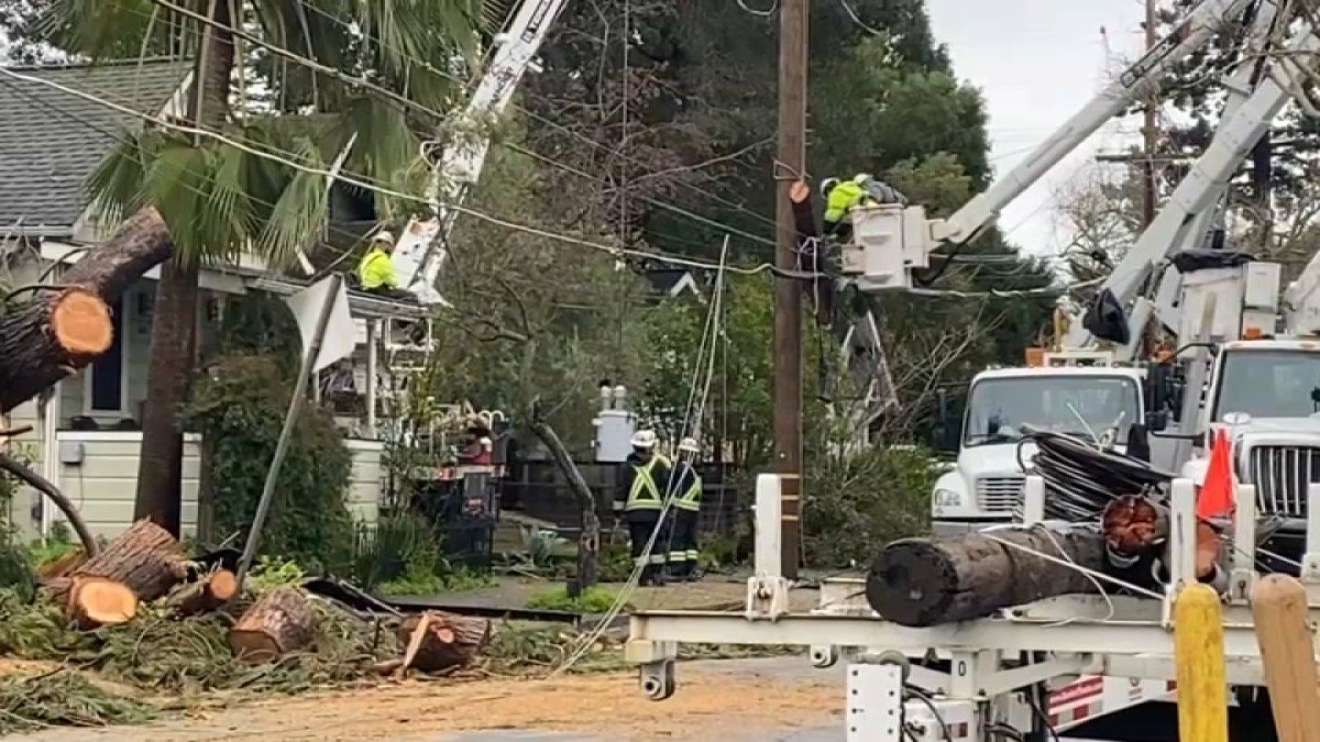 California: caos y destrucción tras caída de árboles y tendido eléctrico al norte de la Bahía ...