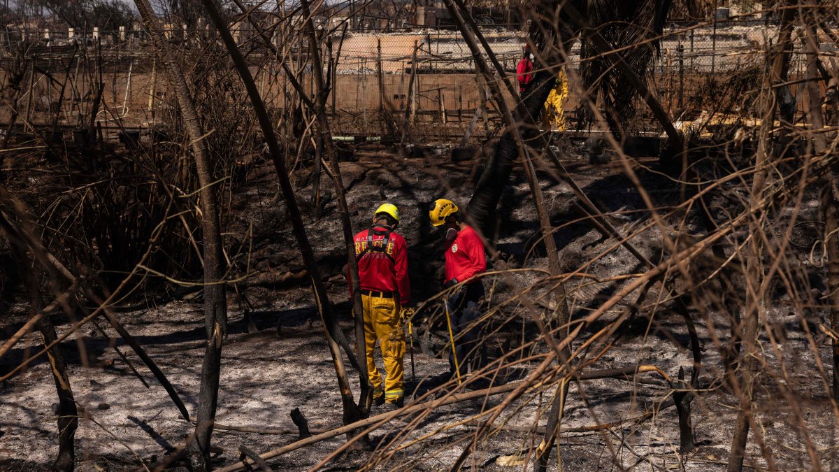 Incendios en Hawaii: sube la cifra de muertos más de un centenar ...
