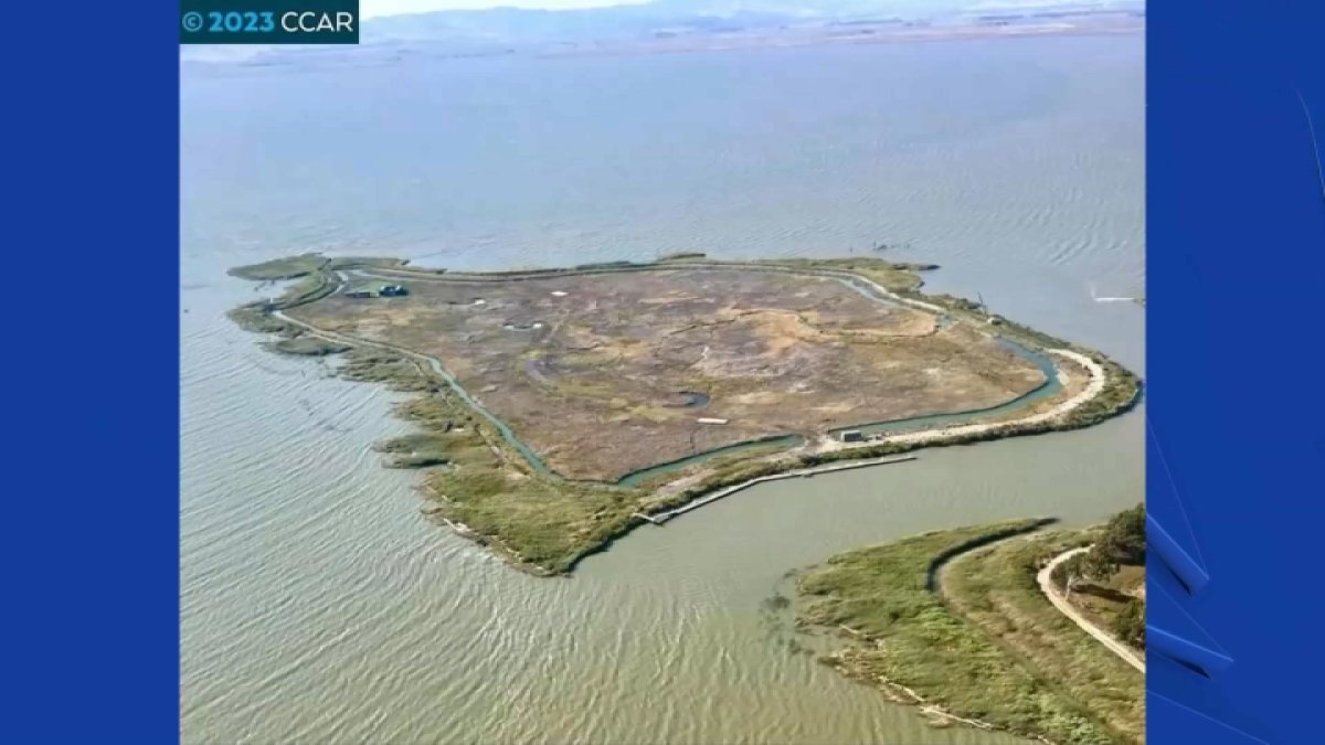 Condado Solano: isla al sur de Grizzly Bay en venta – Telemundo Area de ...