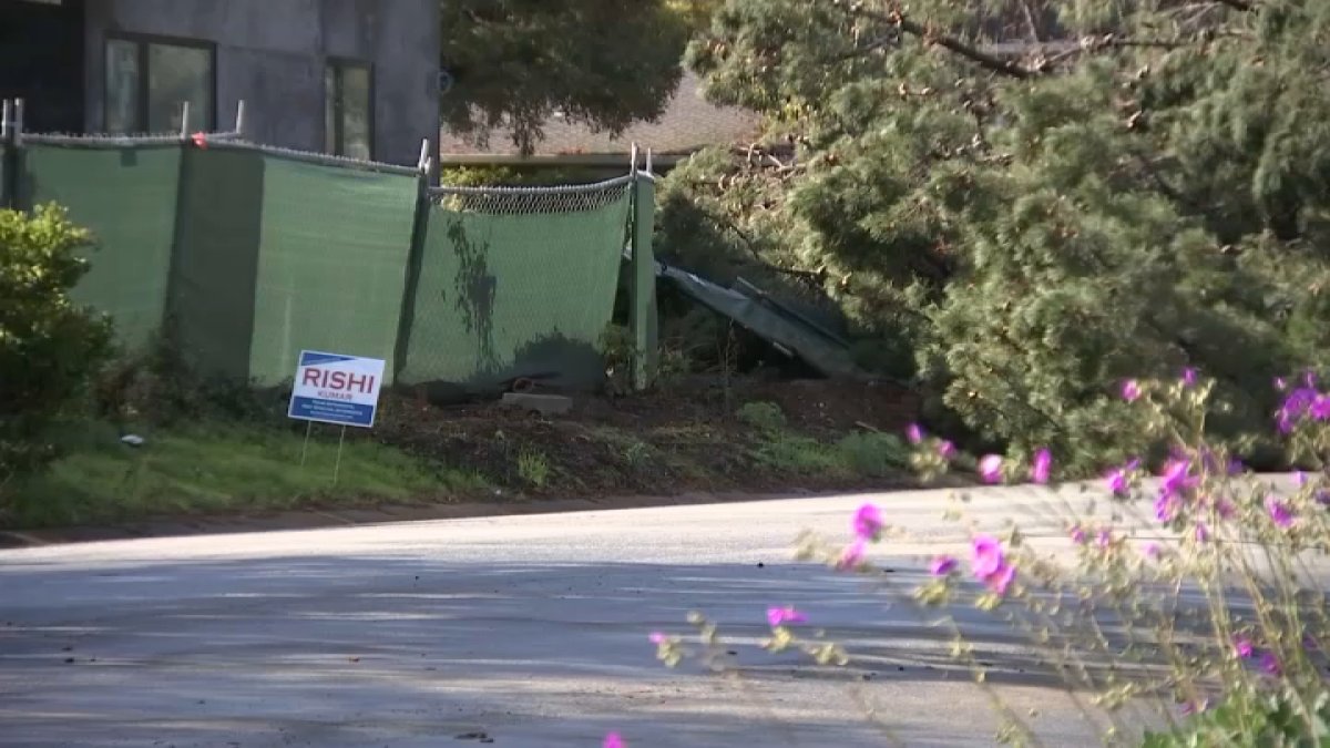 Caídas de árboles causan estragos en ciudades del Área de la Bahía – Telemundo Area de la Bahía 48