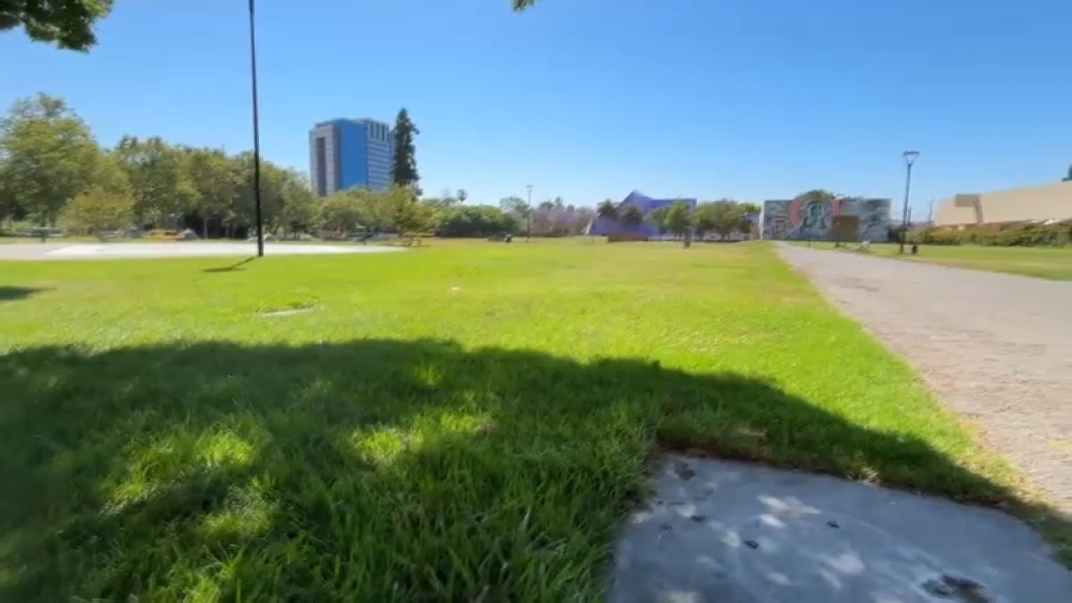 Fiesta rave en el Discovery Meadow Park en San José – Telemundo Area de la Bahía 48