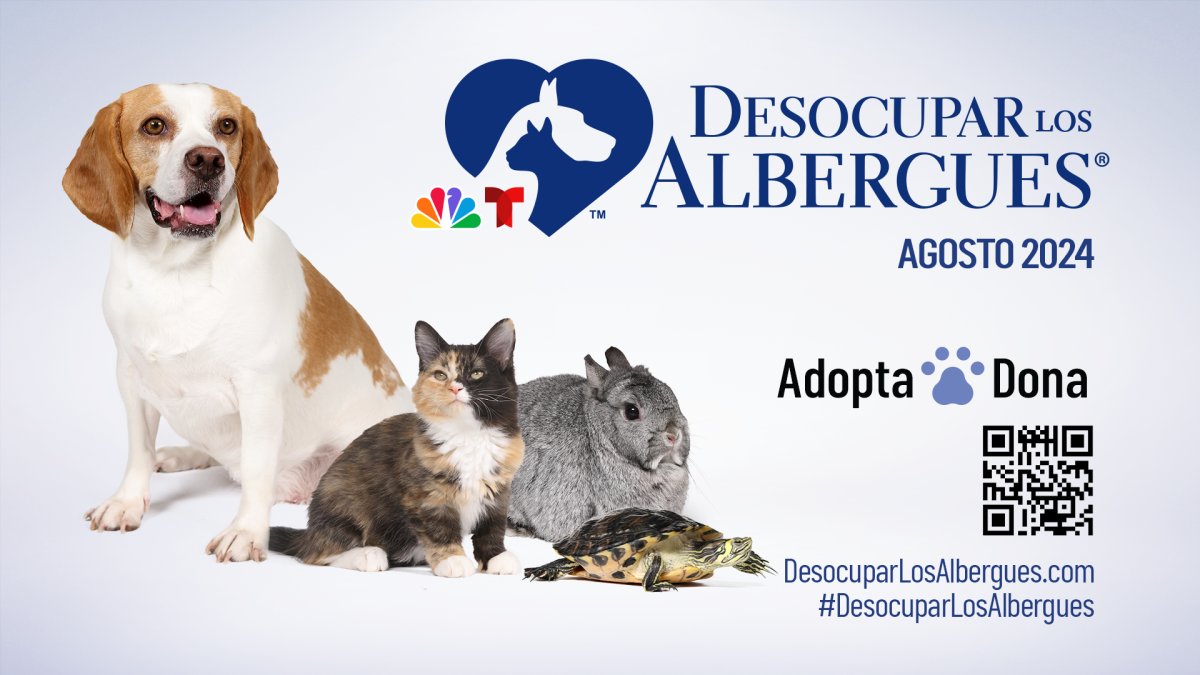 La campaña de donación y adopción de mascotas ‘Desocupar los Albergues ...