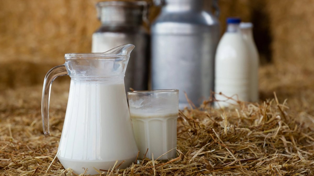 ¿Es dañino consumir leche no pasteurizada? – Telemundo Area de la Bahía 48