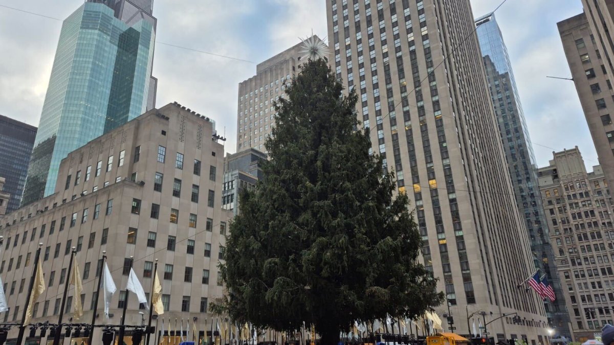 Iluminación del árbol del Rockefeller Center: cuándo y a qué hora ...