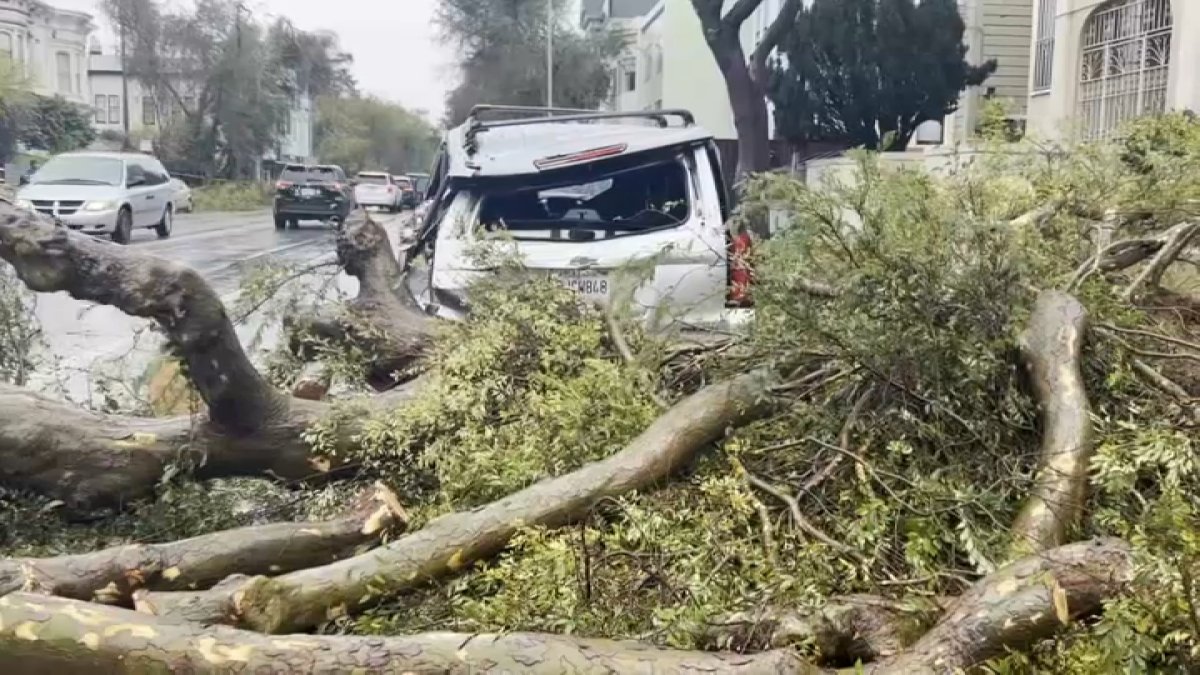 Labores de limpieza tras tormenta en San Francisco – Telemundo Area de la Bahía 48