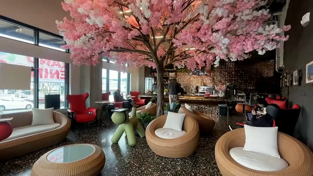 Cafe Machu Picchu sabor peruano en San Francisco – Telemundo Area de la ...