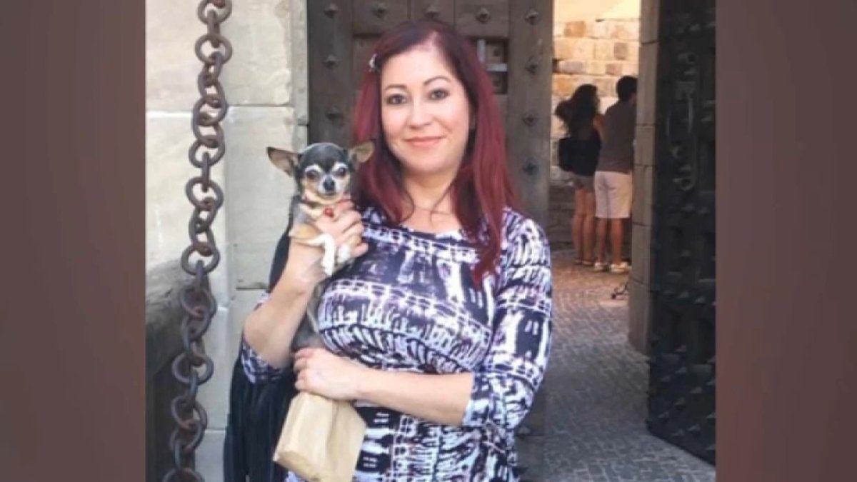 Arrestan a conductor sospechoso de hit and run en San José – Telemundo ...